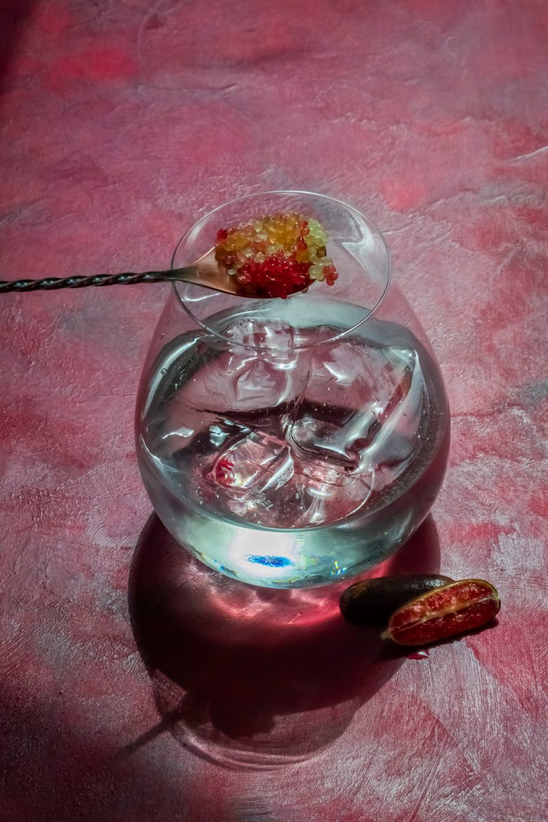 Rainforest Gin Tonica: Australian Spanish Gin Tonic - Peck of Pickles