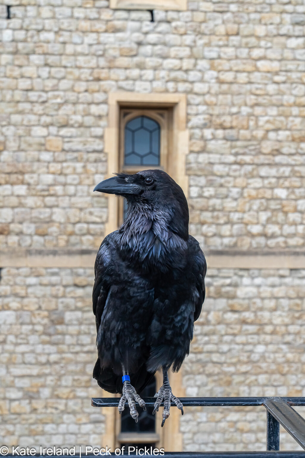 Vibrant London Spring Travel Stock Photography: My Top 6 London Photo ...