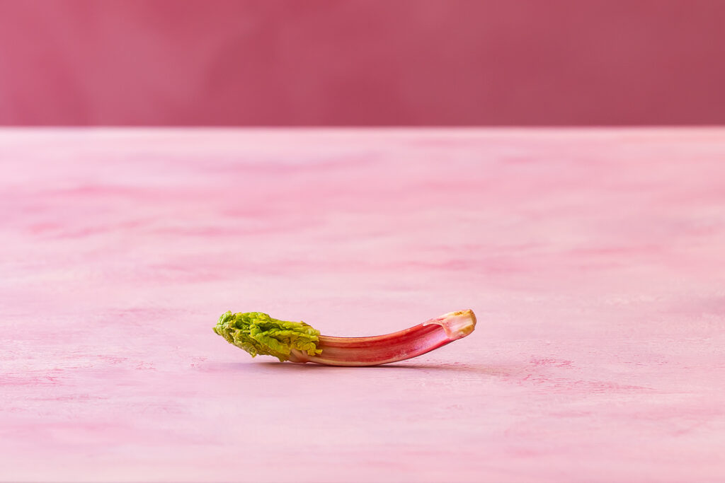 Sangre Fría: Rhubarb Tequila Fiz Halloween Cocktail - Peck of Pickles